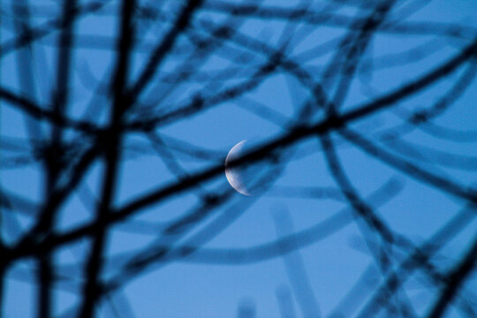 Mun Images – Browse 23,462 Stock Photos, Vectors, and Video | Adobe Stock