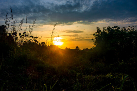 "Evening Scene" Images – Browse 845 Stock Photos, Vectors, and Video ...