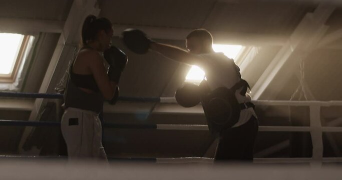 รูปภาพEvade – เลือกดูภาพถ่ายสต็อก เวกเตอร์ และวิดีโอ22,374 | Adobe Stock