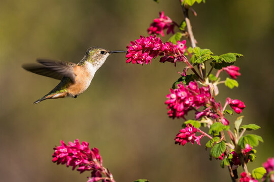 Seeking Images – Browse 2,642,016 Stock Photos, Vectors, and Video ...