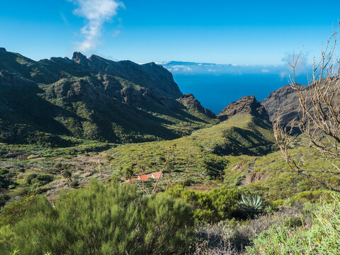 Carrizales Images – Browse 29 Stock Photos, Vectors, and Video | Adobe ...