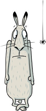 Angsthase 이미지 – 찾아보기 167 스톡 사진, 벡터 및 비디오 | Adobe Stock