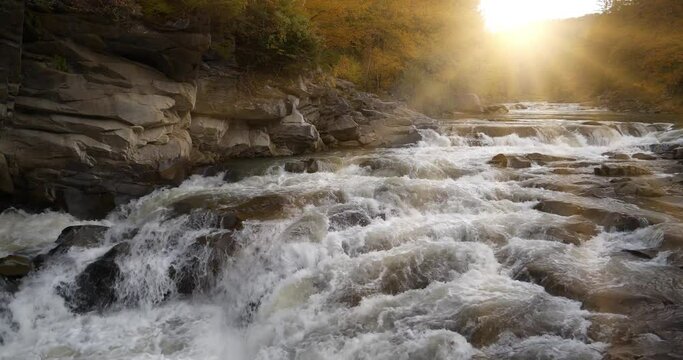 Fload Images – Browse 54 Stock Photos, Vectors, and Video | Adobe Stock