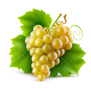 Yellow Grapes