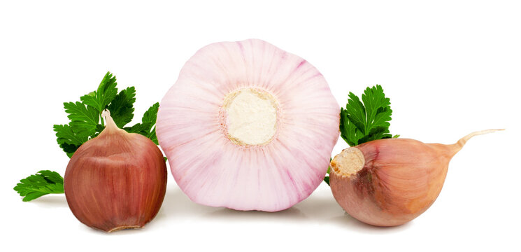 Tolerable Images – Parcourir 59,810 le catalogue de photos, vecteurs et ...