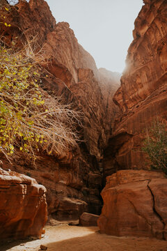 Kanion Imagens – Procure 1,489 fotos, vetores e vídeos | Adobe Stock