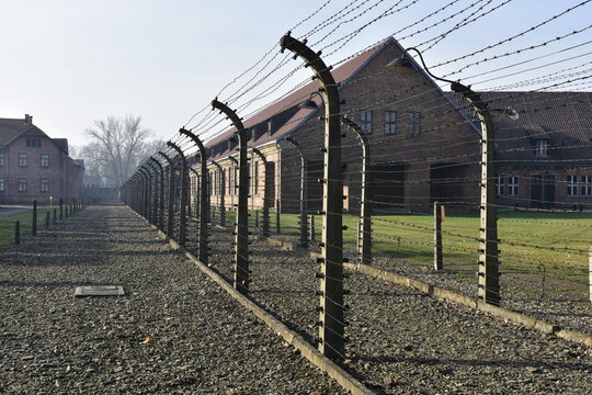 รูปภาพAuswitch – เลือกดูภาพถ่ายสต็อก เวกเตอร์ และวิดีโอ1,522 | Adobe Stock