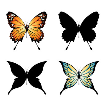 "Butterfly Clip Art" Images – Browse 216 Stock Photos, Vectors, and ...