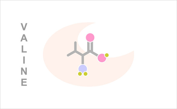 รูปภาพValines – เลือกดูภาพถ่ายสต็อก เวกเตอร์ และวิดีโอ967 | Adobe Stock