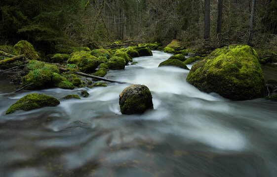 Bachstein Bilder – Durchsuchen 435,177 Archivfotos, Vektorgrafiken und ...