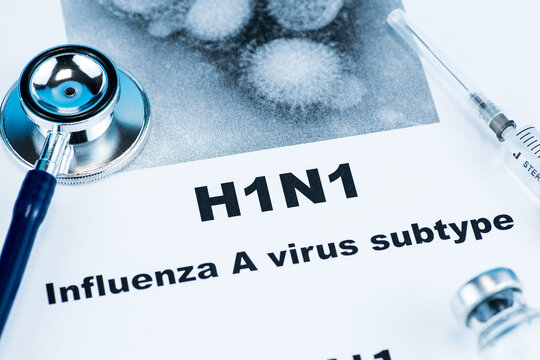 "H1 N1" Bilder – Durchsuchen 22,610 Archivfotos, Vektorgrafiken und ...