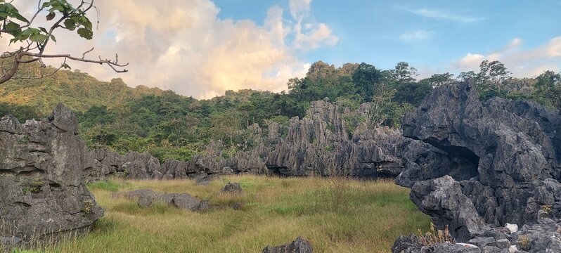 Proa Bilder – Durchsuchen 1,757 Archivfotos, Vektorgrafiken und Videos ...