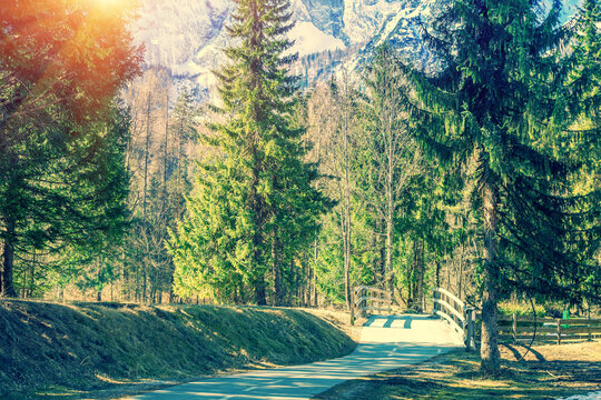 Triglau bilder – Bläddra bland 27,140 stockfoton, vektorer och videor ...