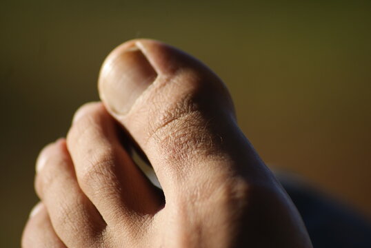 「Fingerbreadth」の画像 - 169,001 件の Stock 写真、ベクターおよびビデオ | Adobe Stock