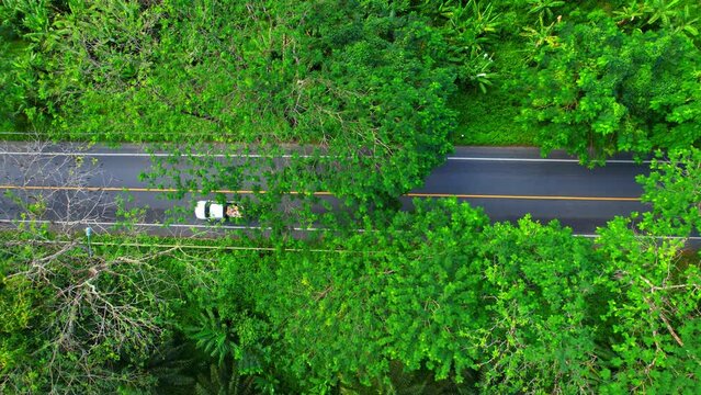 Punyawee รูปถ่าย ภาพ สินทรัพย์ | Adobe Stock
