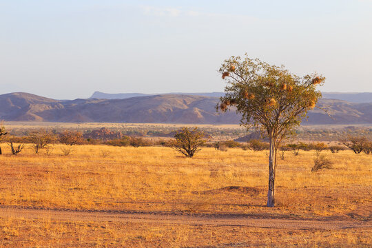 รูปภาพBantustan – เลือกดูภาพถ่ายสต็อก เวกเตอร์ และวิดีโอ128 | Adobe Stock