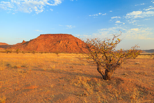 รูปภาพBantustan – เลือกดูภาพถ่ายสต็อก เวกเตอร์ และวิดีโอ128 | Adobe Stock