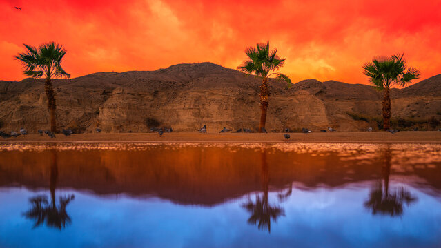 รูปภาพBullhead – เลือกดูภาพถ่ายสต็อก เวกเตอร์ และวิดีโอ4,430 | Adobe Stock