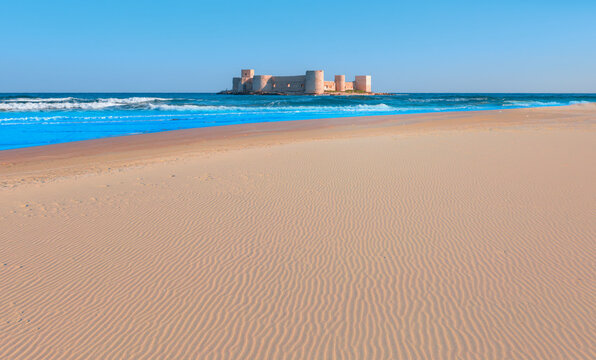 รูปภาพCorycus – เลือกดูภาพถ่ายสต็อก เวกเตอร์ และวิดีโอ1,208 | Adobe Stock