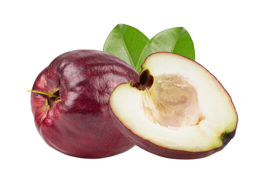 รูปภาพPomerac – เลือกดูภาพถ่ายสต็อก เวกเตอร์ และวิดีโอ164 | Adobe Stock