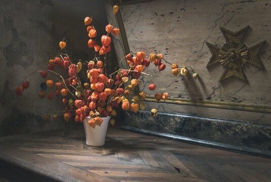 Judenkirsche Bilder – Durchsuchen 41,631 Archivfotos, Vektorgrafiken ...