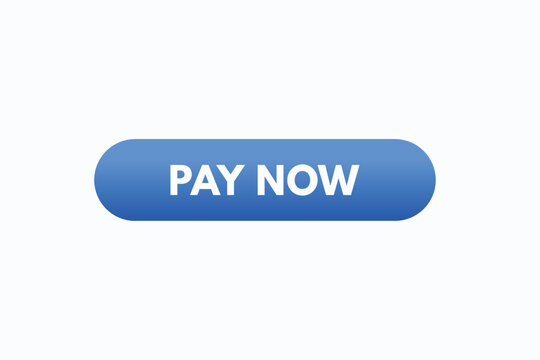 Pay Now Button