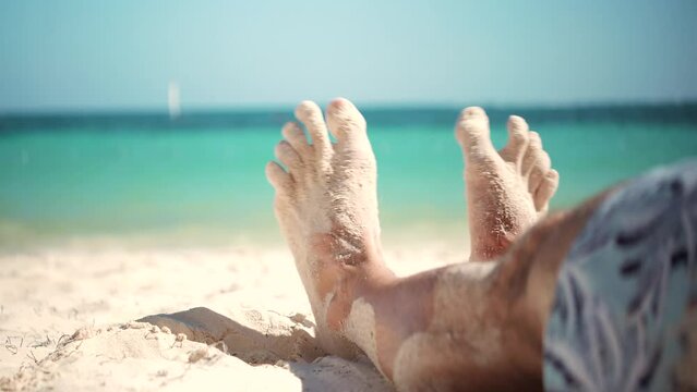 Sandy Shore Images – Browse 551,080 Stock Photos, Vectors, and Video ...