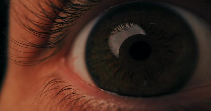 Imagens de Exophthalmia – Explore Fotografias do Stock, Vetores e ...