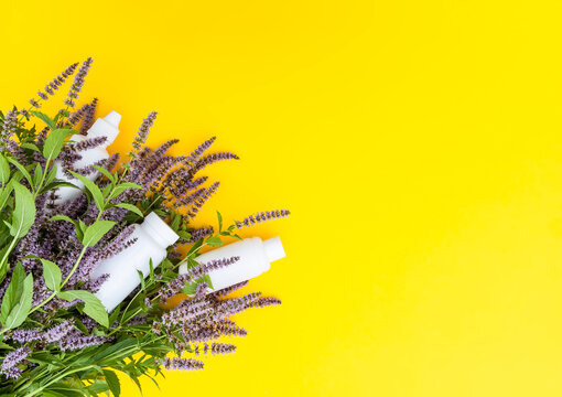 Pennyroyal 이미지 찾아보기 663 스톡 사진 벡터 및 비디오 Adobe Stock
