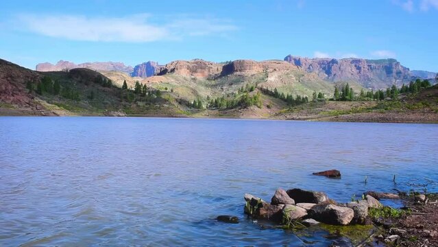 Chira-Bilder: Stock-Fotos & -Videos. | Adobe Stock