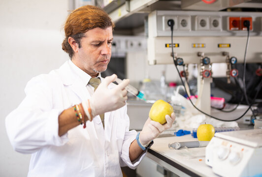 Apple.labs Images – Browse 10,958 Stock Photos, Vectors, and Video ...