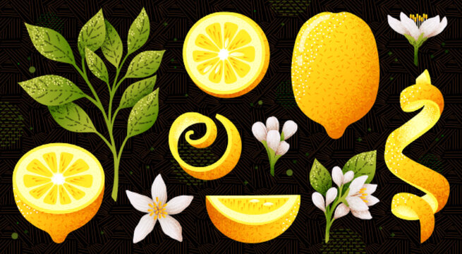 Tolerable Images – Parcourir 59,810 le catalogue de photos, vecteurs et ...