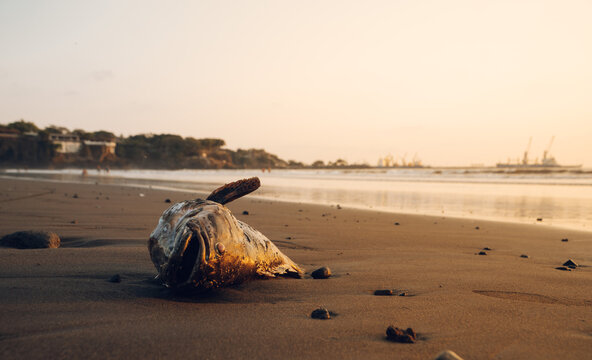 Causes 이미지 – 찾아보기 237,772 스톡 사진, 벡터 및 비디오 | Adobe Stock