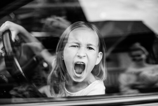 Mes Bilder – Durchsuchen 12,726 Archivfotos, Vektorgrafiken und Videos ...