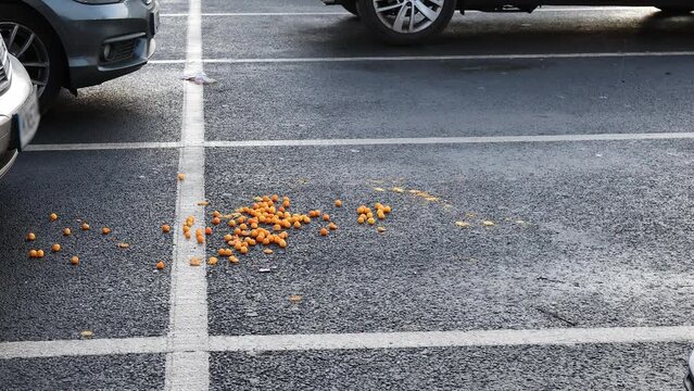 Scavenging Images – Browse 81,738 Stock Photos, Vectors, and Video ...