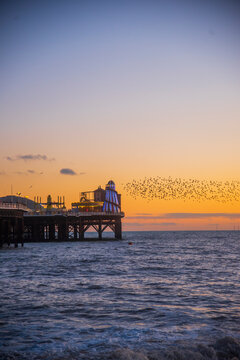 Muttering Images – Browse 11,785 Stock Photos, Vectors, and Video ...