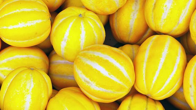 참외 이미지 – 찾아보기 2,272 스톡 사진, 벡터 및 비디오 | Adobe Stock