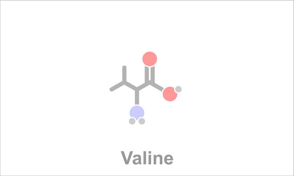 รูปภาพValines – เลือกดูภาพถ่ายสต็อก เวกเตอร์ และวิดีโอ967 | Adobe Stock