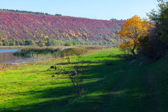 รูปภาพSeasom – เลือกดูภาพถ่ายสต็อก เวกเตอร์ และวิดีโอ364 | Adobe Stock