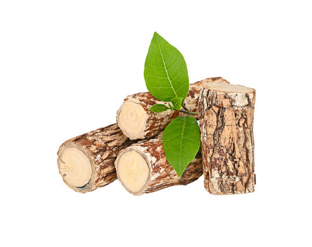 รูปภาพThanakha – เลือกดูภาพถ่ายสต็อก เวกเตอร์ และวิดีโอ753 | Adobe Stock