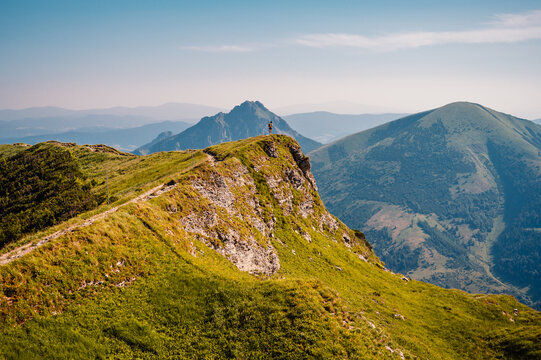 Stoh bilder – Bläddra bland 1,183 stockfoton, vektorer och videor ...