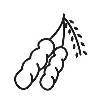 Tamarind Clipart Black And White