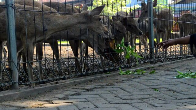Imagens de Novamente – Explore Fotografias do Stock, Vetores e Vídeos ...