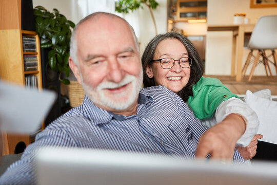 Zirone Bilder – Durchsuchen 2,044 Archivfotos, Vektorgrafiken und ...