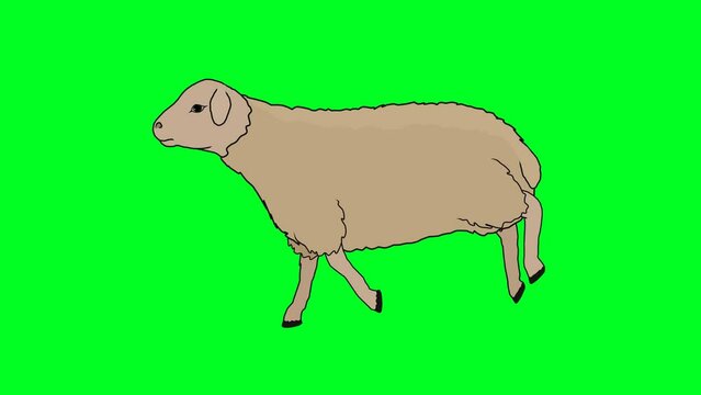 "Walking Cycle" Bilder – Durchsuchen 730 Archivfotos, Vektorgrafiken ...