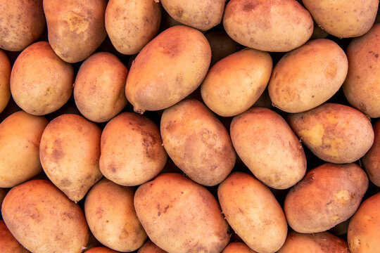 Potatis bilder – Bläddra bland 1,410,150 stockfoton, vektorer och ...