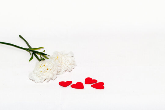 Lujuria Bilder – Durchsuchen 234 Archivfotos, Vektorgrafiken und Videos ...