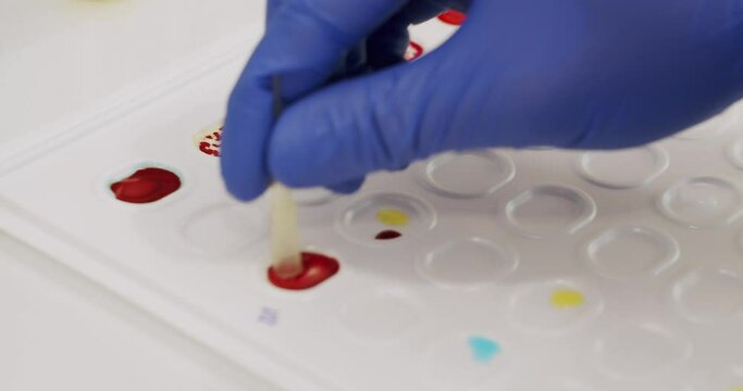 Mixed-Blood bilder – Bläddra bland 798 stockfoton, vektorer och videor ...