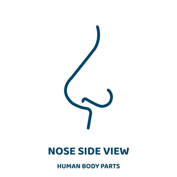 Nose Side View
