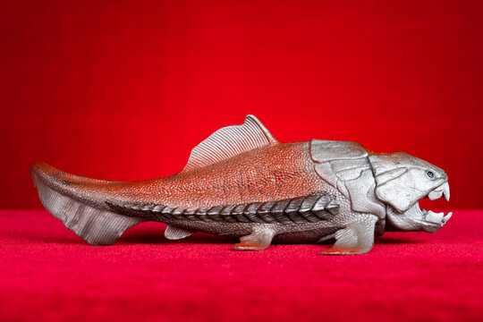 รูปภาพDunkleosteus – เลือกดูภาพถ่ายสต็อก เวกเตอร์ และวิดีโอ445 | Adobe ...